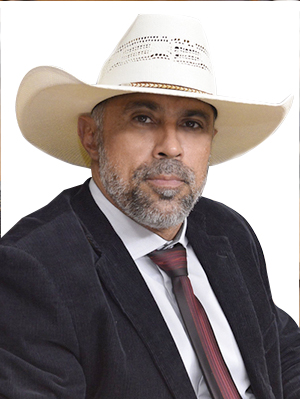 Perfil de Amauri Ribeiro | Portal da Alego